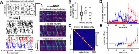 Spatiotemporal Clustering With Neyman Scott Processes Via Connections To Bayesian Nonparametric