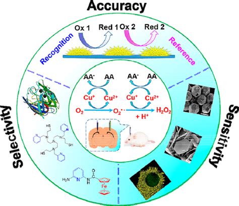 设计识别分子并定制功能表面，以体内监测大脑中的小分子 Accounts Of Chemical Research X Mol