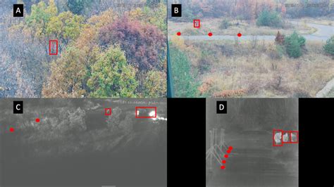 Examples Of Images Contained In The Dataset Detected Objects In These Download Scientific