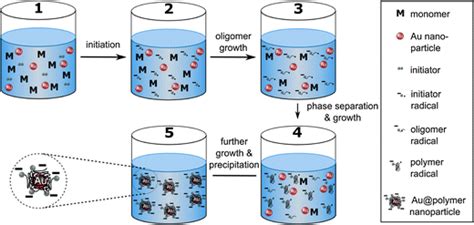 Schematic Depiction Of The Seeded Precipitation Polymerization