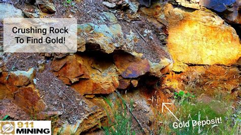 Found Gold In Rocks