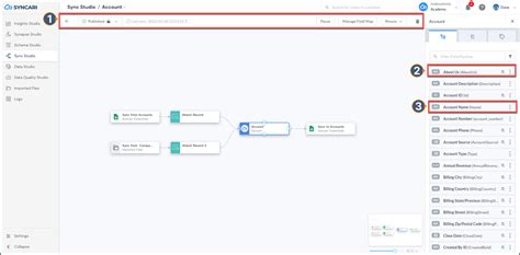 Pipeline Statuses Syncari