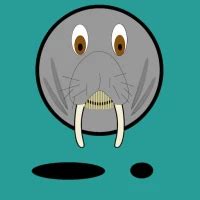 Morse Code Encoder Decoder Apk Indir