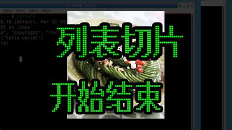 098 Python列表切片slice开始结束 哔哩哔哩