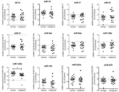 The Expression Profile Of Selected Mirnas In Ffpe Lung Tissue Slides