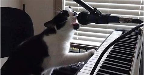 Library Program Proposal Album On Imgur