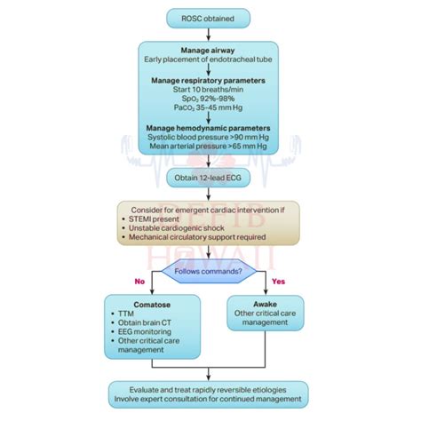 Aha Acls Algorithms 2020 2025 Updated Guidelines And Flowcharts