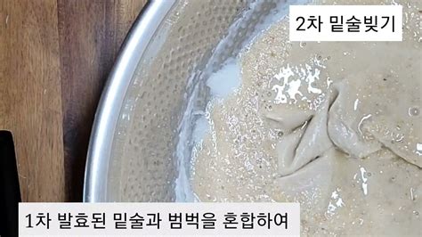 삼양주 밑술 2차발효 전통주 빚기 막걸리 청주빚기 Youtube