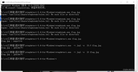 图片隐写工具stegdetect的使用 Csdn博客