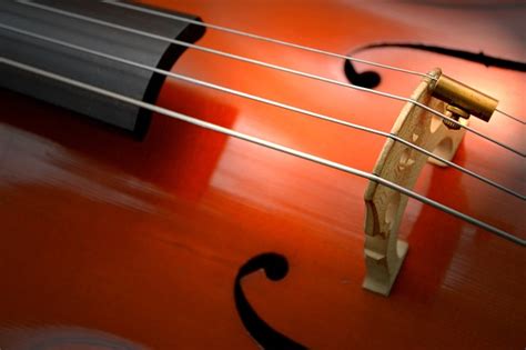 Cello Strings Stringed Instrument Free Photo On Pixabay Pixabay
