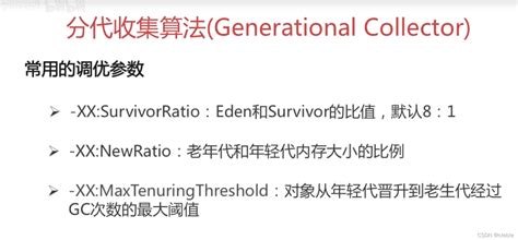 （转帖）java Gc之分代回收算法javagc分代回收 Csdn博客