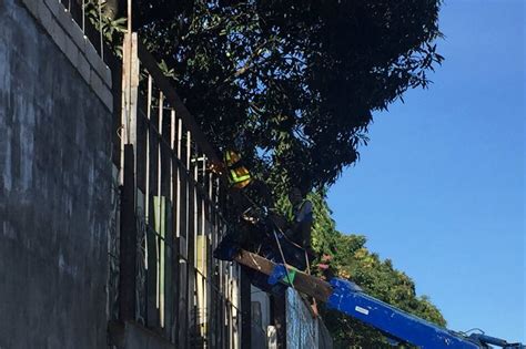 Mmda Takes Down Illegal Billboard Frames Along Edsa Abs Cbn News