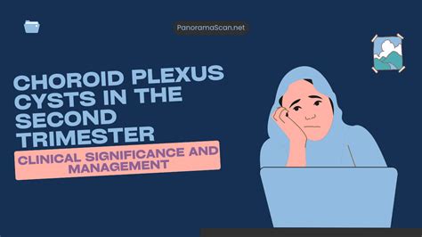 Choroid Plexus Cysts In The Second Trimester Clinical Significance And Management