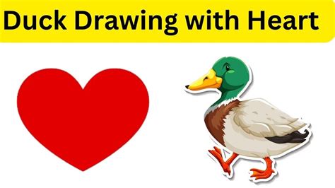 Duck With Heart How To Draw A Duck For Kindergarten How To Draw