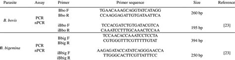 Primer Sets Used For Babesia Bovis And Babesia Bigemina Download
