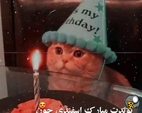 اسفند ماهی عزیزمبارکهد تولدت مبارک تولد اسفند ماهی فیلو