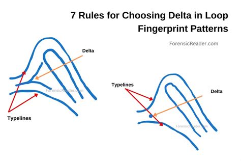 loop fingerprint pattern 5 rules and 4 types with images