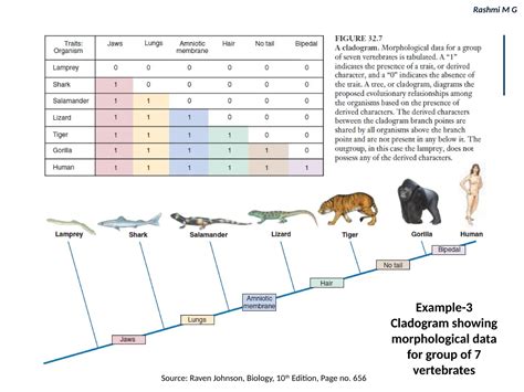 Taxonomyintroductionlevels Of Taxonomy Scientific Naming