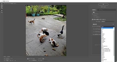 Photoshopを使って写真の歪みを補正する方法