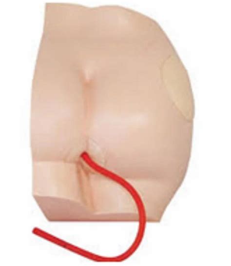 Silicone Buttock Injection Model For Education At Rs 5200 In Kolkata