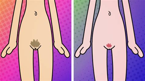 Rule 34 2girls Anonymous Female Brown Pubic Hair Female Female Focus Female Only Hairy Pussy