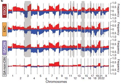 Gistic Score的ggplot2可视化 知乎