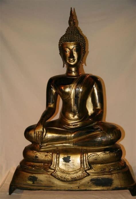 Орхидея Бронзовый Будда Фото – Telegraph