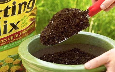 Using Peat Moss In Garden Soil Fasci Garden