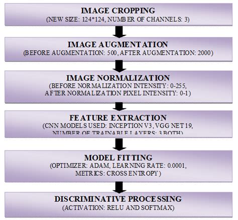 Working Flowchart Of Our D Kap Architecture Our Workflow Include The