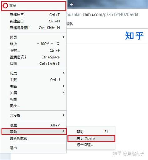 Opera浏览器修改默认搜索引擎为必应搜索Bing 知乎