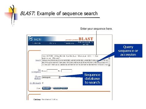 lecture 4 sequence alignment and searching sequence alignment