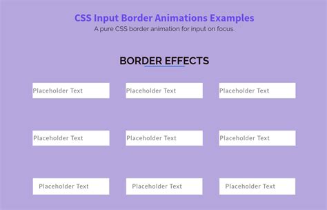 CSS Input Border Animation On Focus Codeconvey