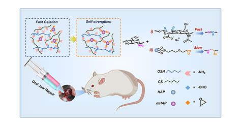 Polysaccharide Based Injectable Hydrogels With Fast Gelation And Self
