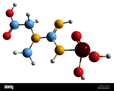 Chemical Structure Of Creatine Phosphate At Heidi Tan Blog