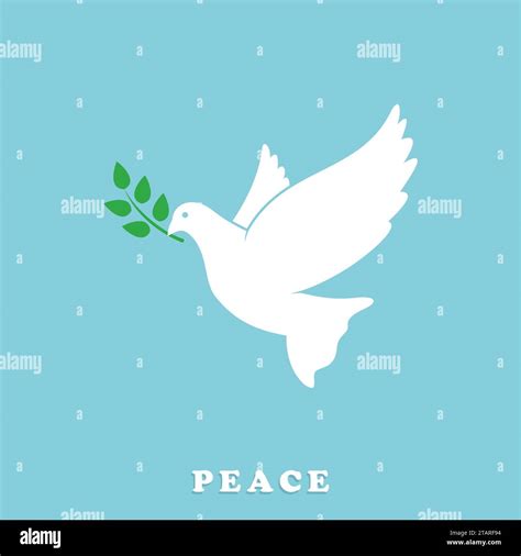 Dove With Branch Stock Vector Images Alamy