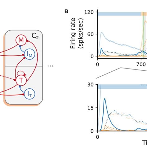 Figure Alternative Wiring With Local Inhibition And Only Excitatory Download Scientific Diagram