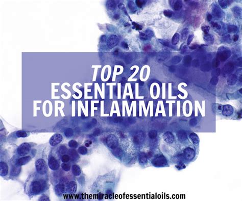 Top 10 Essential Oils For Inflammation Auto Immune Disease Swelling