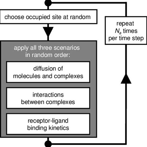Schematic Representation Of The Algorithm The Three Scenarios Are