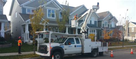 Trees And Urban Forestry City Of Edmonton