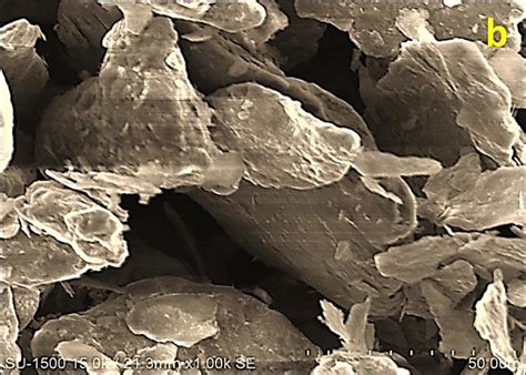 Sem Of Silicon Carbide Particulates At A 500x Magnification B Download Scientific Diagram
