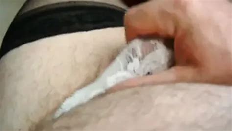 Pvc Pleasure Xhamster