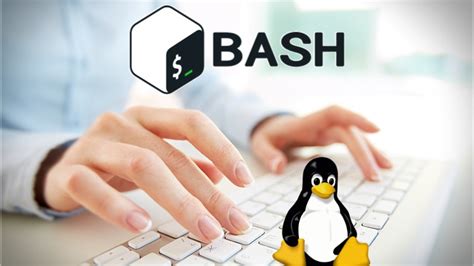 Bash Aprende Comandos De Linux Desde Cero