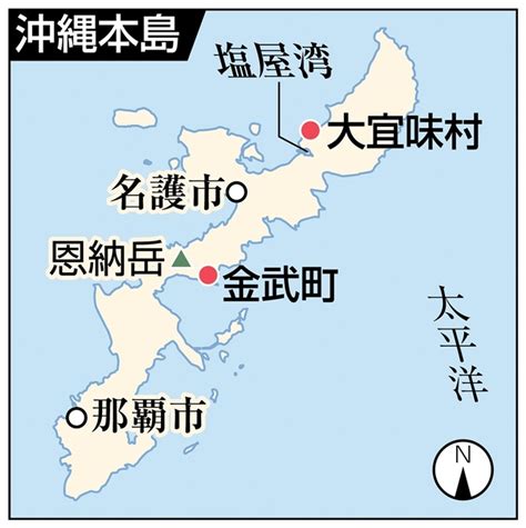 沖縄本島の地図 自爆命じられた16歳少年兵捨て石にされた苦しみ 沖縄戦これで死ぬ何度思ったか 写真画像 2 2 西