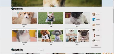 基于python的同城宠物照看托管数据可视化分析系统 Csdn博客
