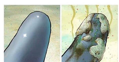 Grubby Grouper Aint Catching Gnarly Pounders Tonight R Bikinibottomtwitter