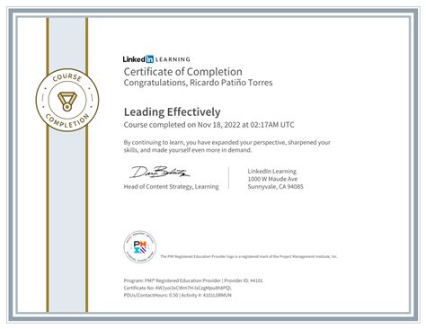 Ricardo Patiño Torres On Linkedin Certificate Of Completion