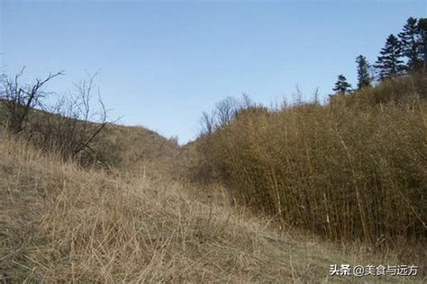 五百華里儻駱古道道不盡的歲月滄桑 每日頭條