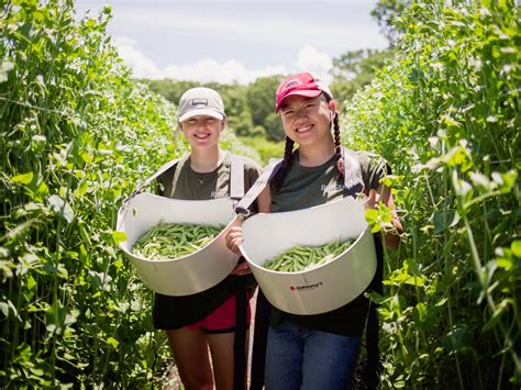 Internship Resources Department Of Plant Biology