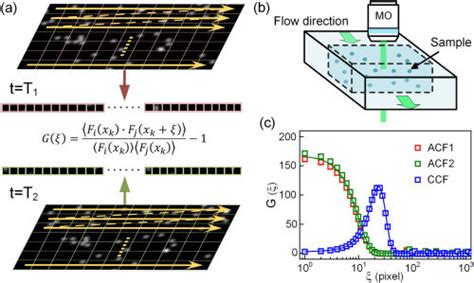 Schematics Of PICS A Correlation Calculation Of PICS Two Traces Are Download Scientific