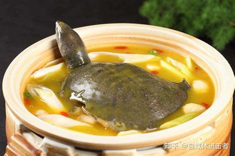 滋阴补肾养生汤 知乎